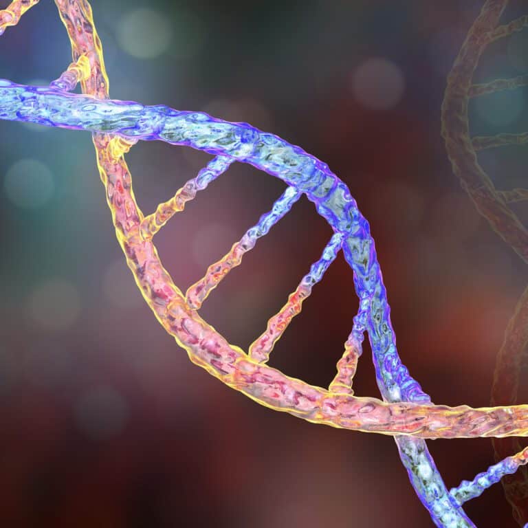 Home - Seegene USA High Multiplex Real-Time PCR Technologies