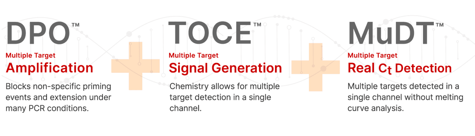 Molecular Testing Technology - Seegene USA